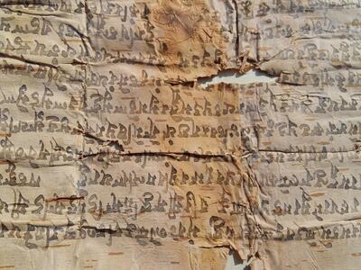 Photos | Sasken Shina ® GB